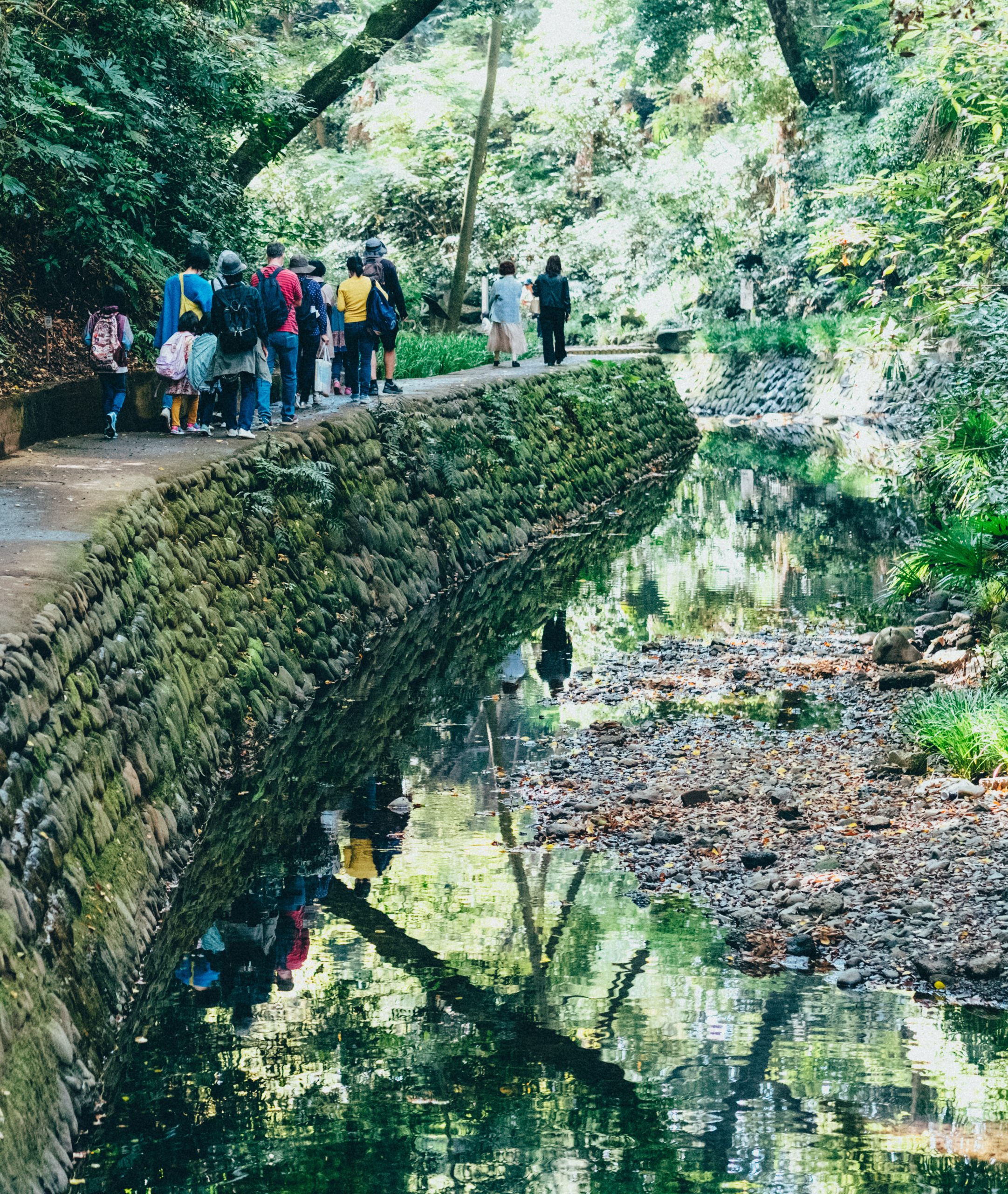 Todoroki Gorge Walk | Sharing Caring Culture